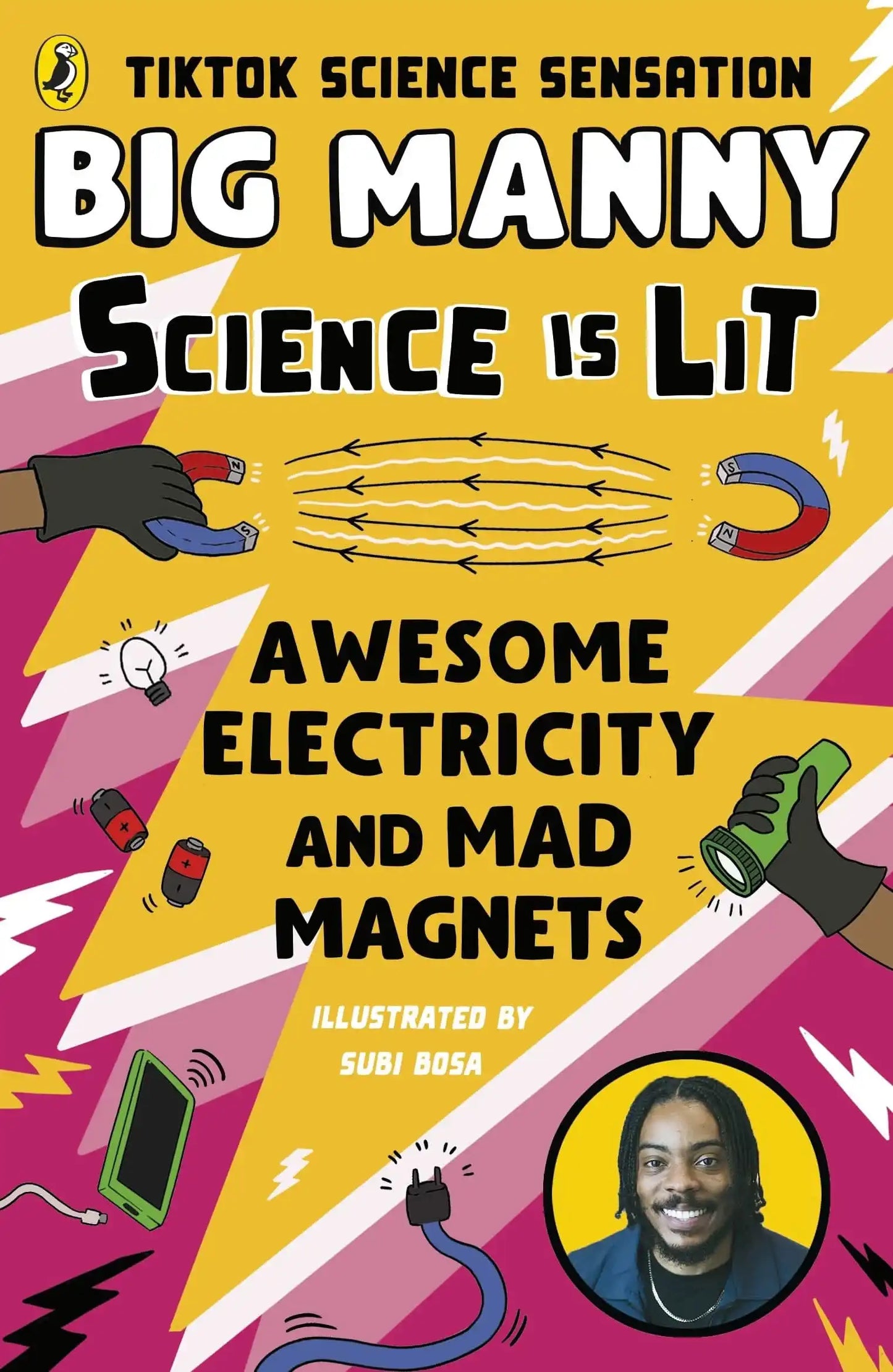 Awesome Electricity And Mad Magnets: From The Science Is Lit Series By ...