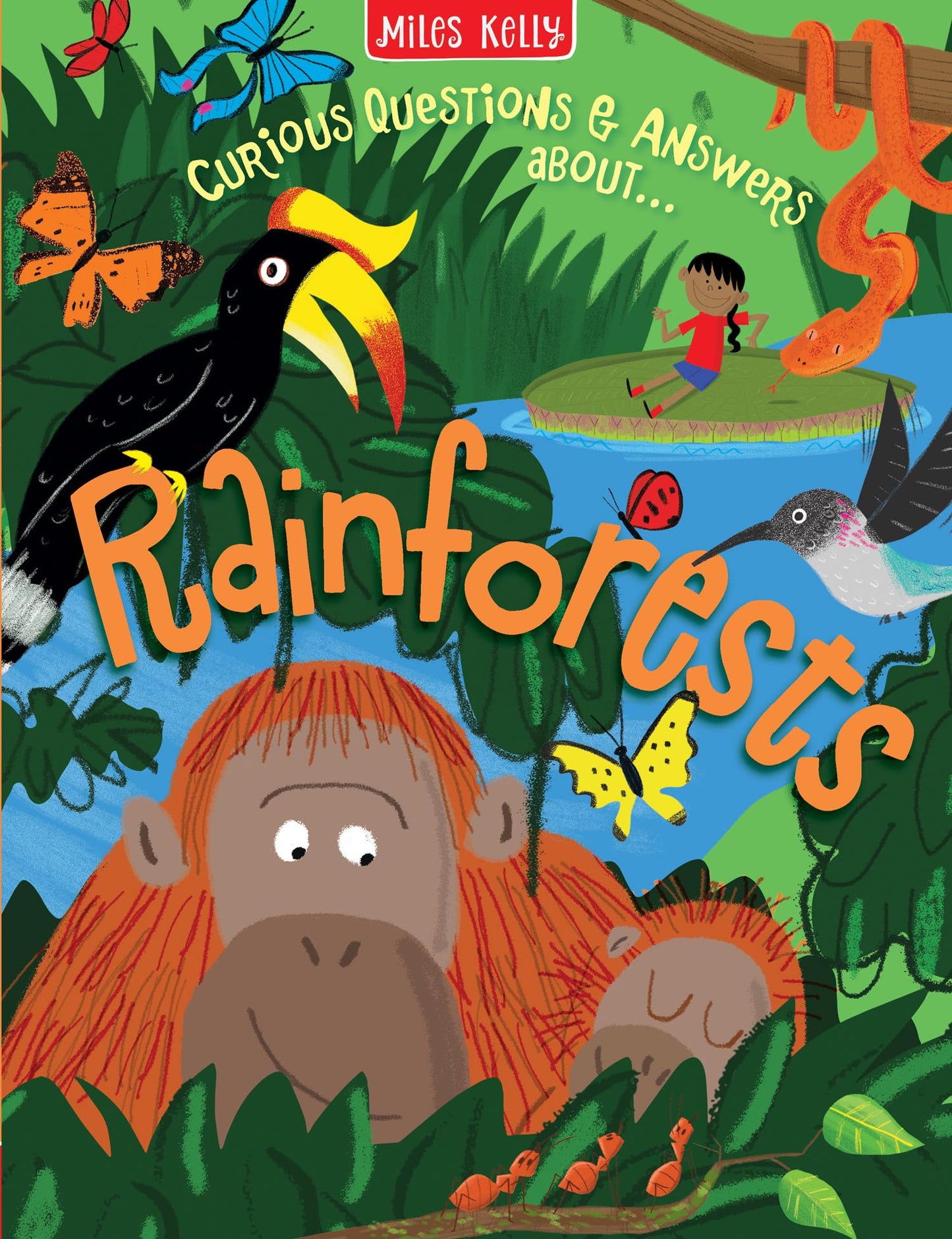 Curious Questions & Answers About Rainforests | Miles Kelly