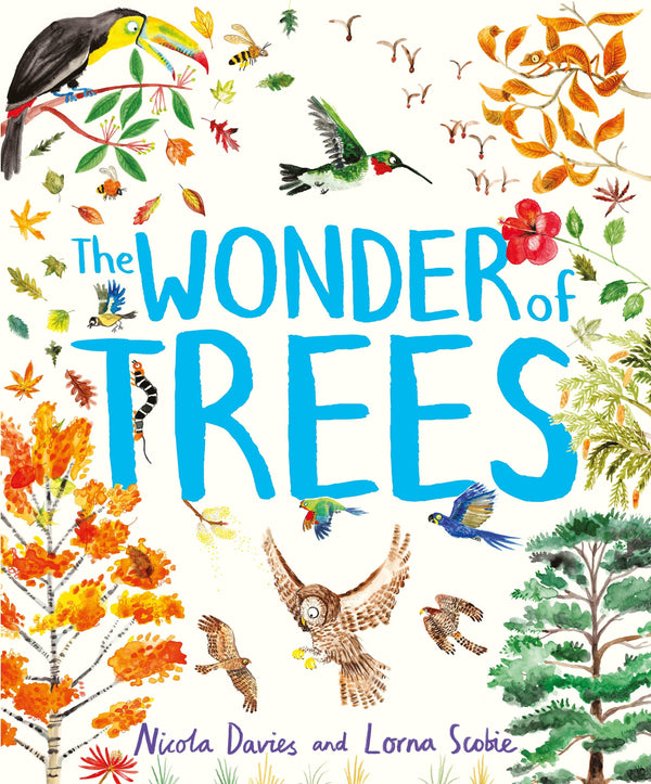 The Wonder of Trees | Nicola Davies | Oxford Bookstore – Oxfordbookstore